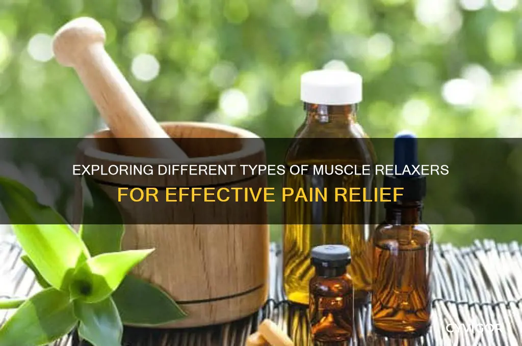 Exploring Different Types Of Muscle Relaxers For Effective Pain Relief ...
