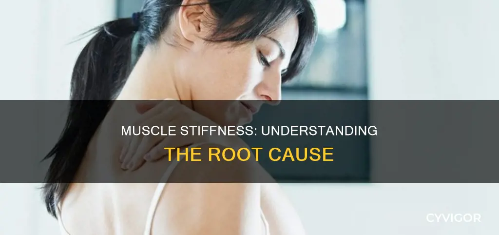 Muscle Stiffness: Understanding The Root Cause | CyVigor