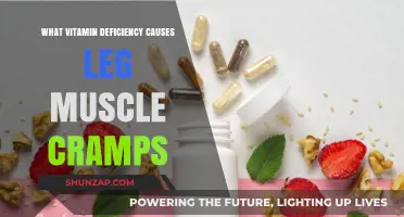 Vitamin Deficiencies Linked To Muscle Twitching: Causes And Solutions ...