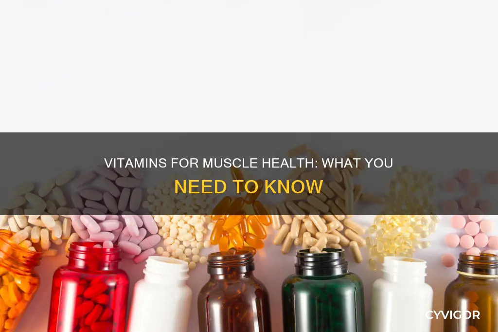 Vitamins For Muscle Health: What You Need To Know | CyVigor