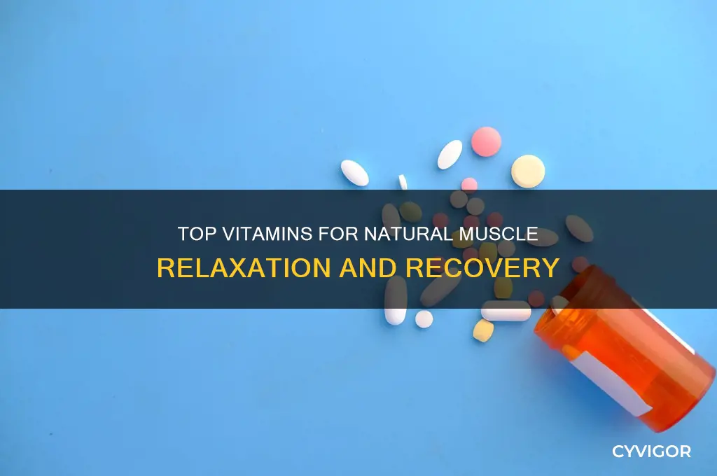 Top Vitamins For Natural Muscle Relaxation And Recovery | CyVigor