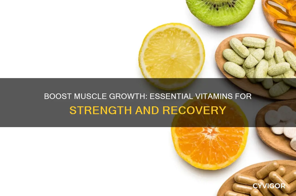 Boost Muscle Growth: Essential Vitamins For Strength And Recovery | CyVigor
