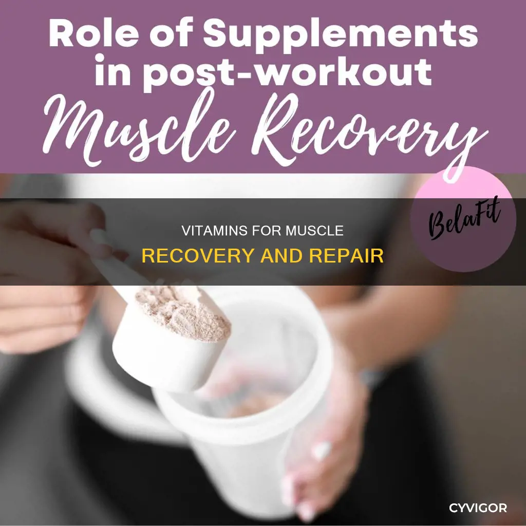 Vitamins For Muscle Recovery And Repair | CyVigor