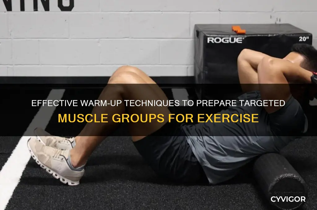 Effective Warm-Up Techniques To Prepare Targeted Muscle Groups For ...