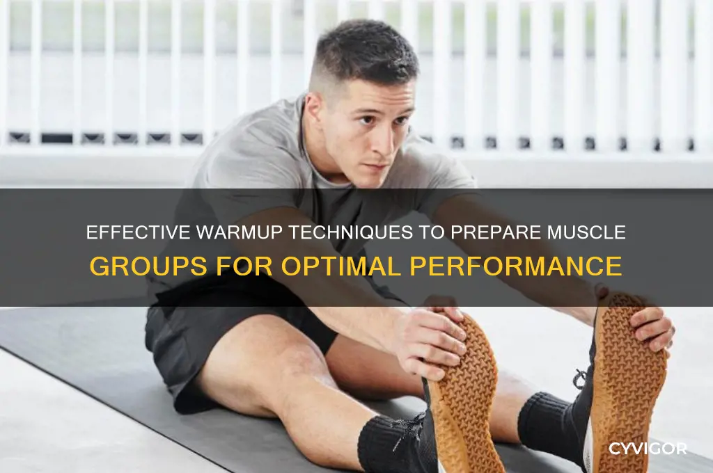 Effective Warmup Techniques To Prepare Muscle Groups For Optimal ...