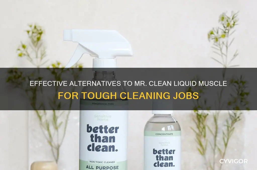 Effective Alternatives To Mr. Clean Liquid Muscle For Tough Cleaning ...