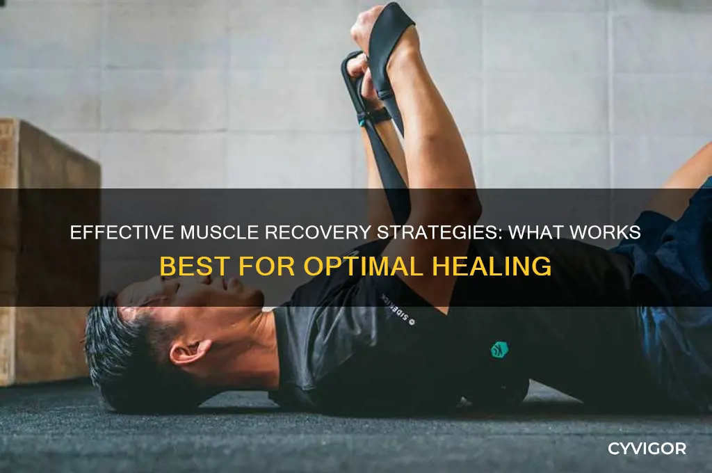 Effective Muscle Recovery Strategies: What Works Best For Optimal ...