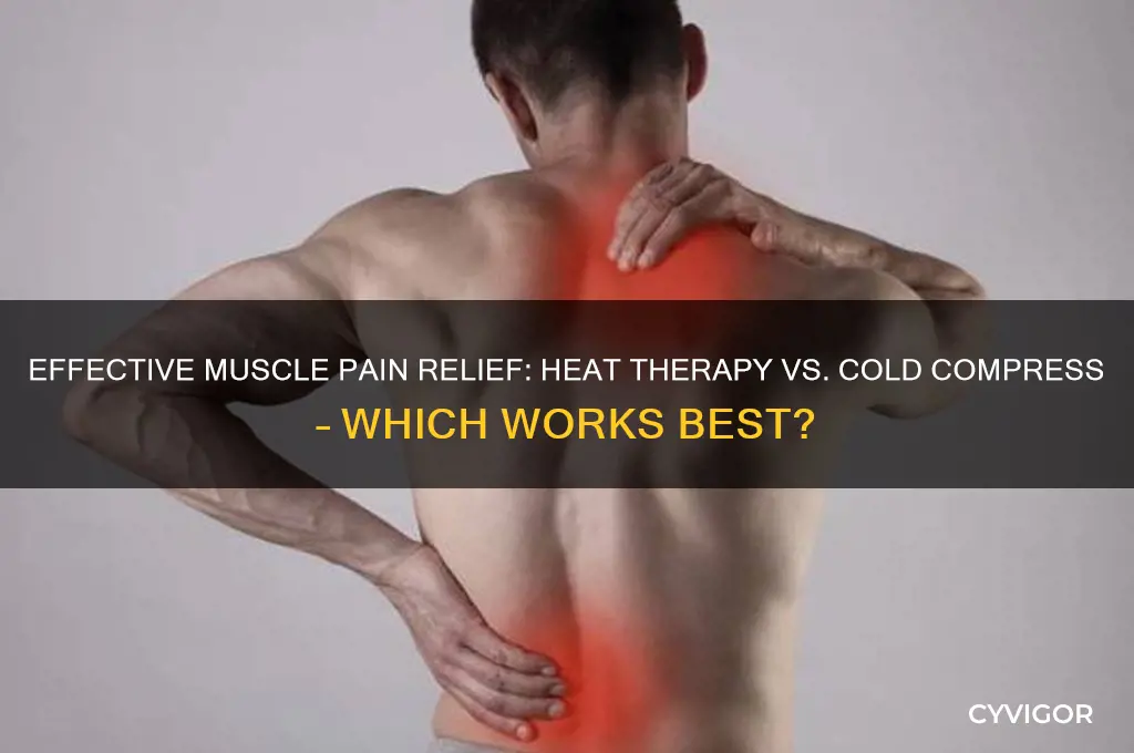 Effective Muscle Pain Relief: Heat Therapy Vs. Cold Compress – Which ...