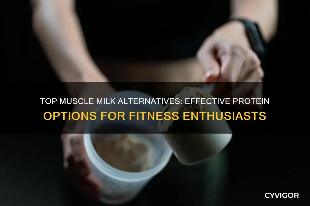 Top Muscle Milk Alternatives: Effective Protein Options For Fitness ...