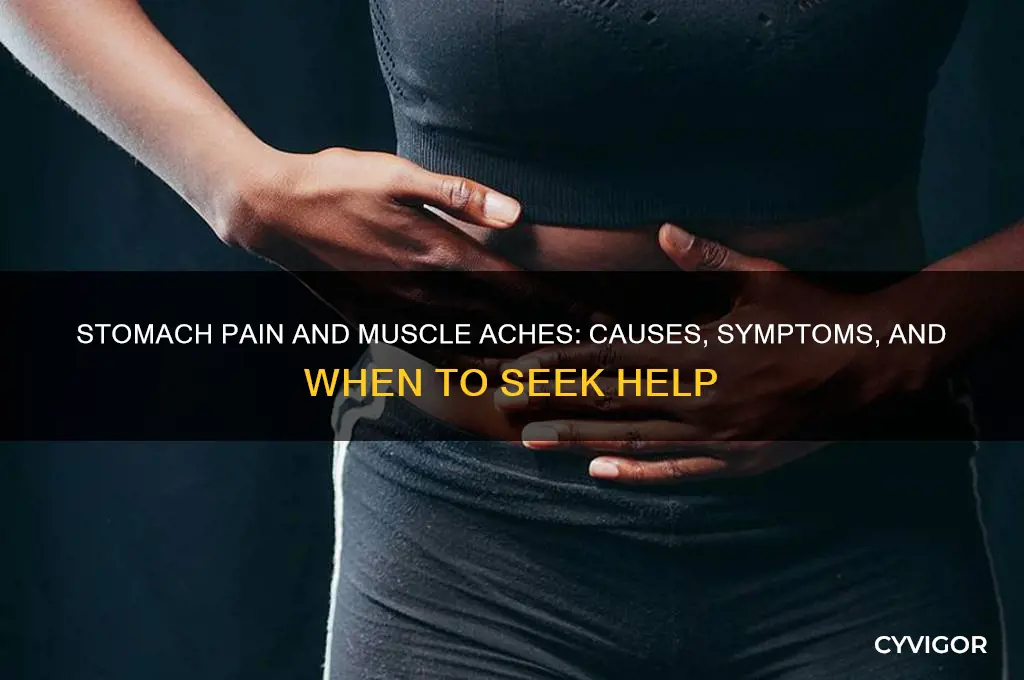 Stomach Pain And Muscle Aches: Causes, Symptoms, And When To Seek Help ...