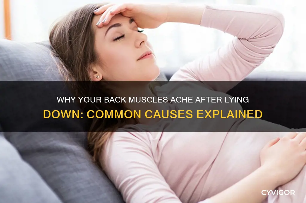 Why Your Back Muscles Ache After Lying Down: Common Causes Explained ...