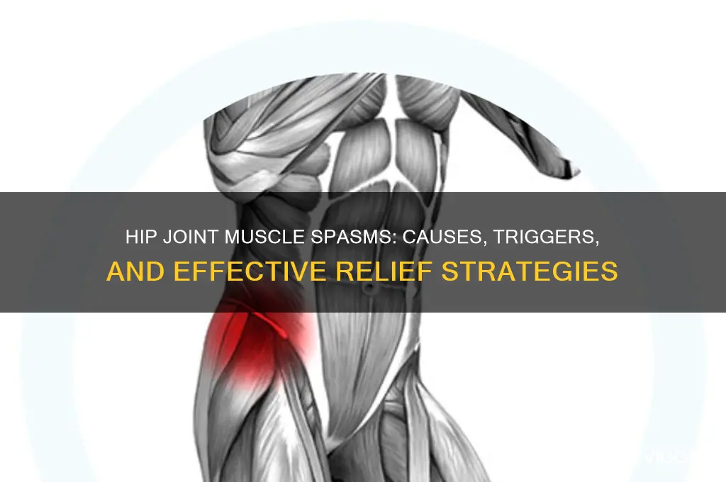 Hip Joint Muscle Spasms: Causes, Triggers, And Effective Relief ...