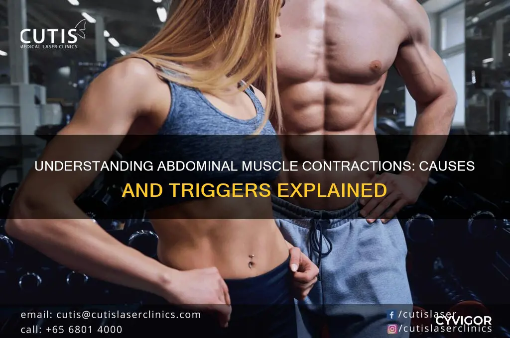 Understanding Abdominal Muscle Contractions: Causes And Triggers ...