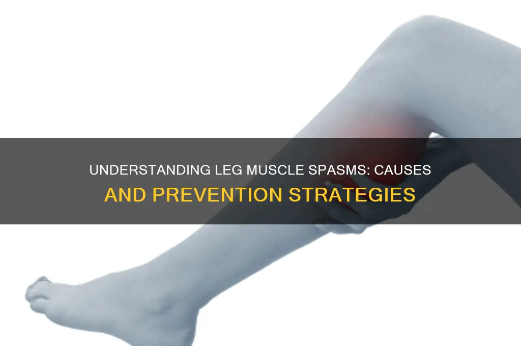 Understanding Leg Muscle Spasms: Causes And Prevention Strategies | CyVigor