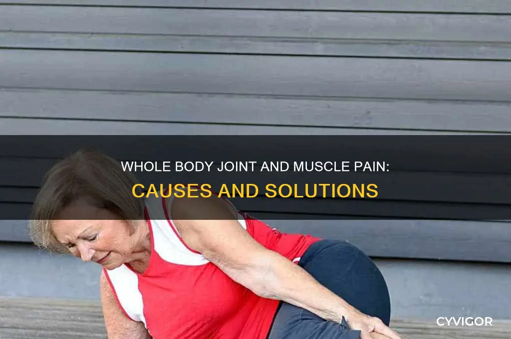 Whole Body Joint And Muscle Pain: Causes And Solutions | CyVigor