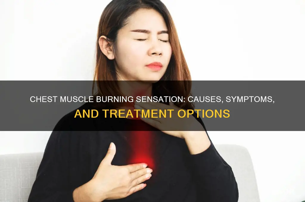 Chest Muscle Burning Sensation: Causes, Symptoms, And Treatment Options ...