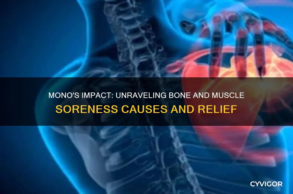 Mono's Impact: Unraveling Bone And Muscle Soreness Causes And Relief ...