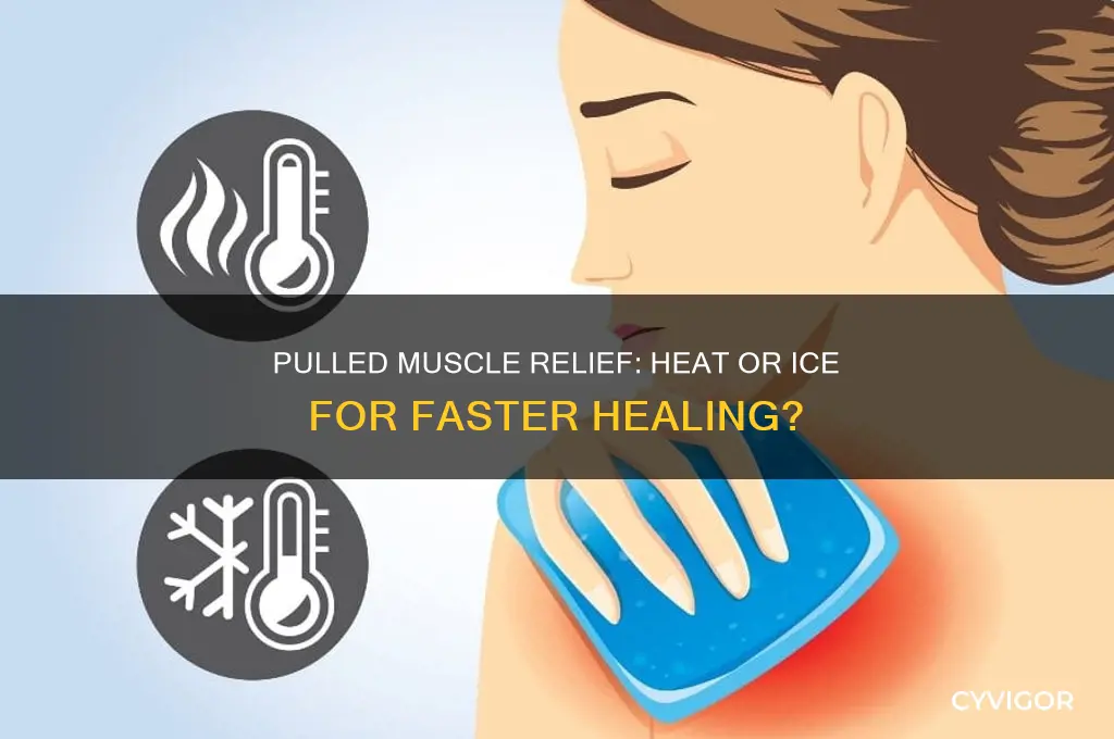 Pulled Muscle Relief: Heat Or Ice For Faster Healing? | CyVigor