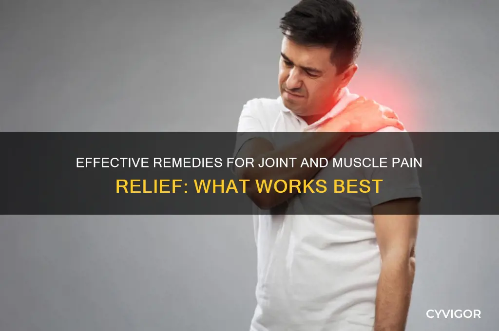 Effective Remedies For Joint And Muscle Pain Relief: What Works Best ...