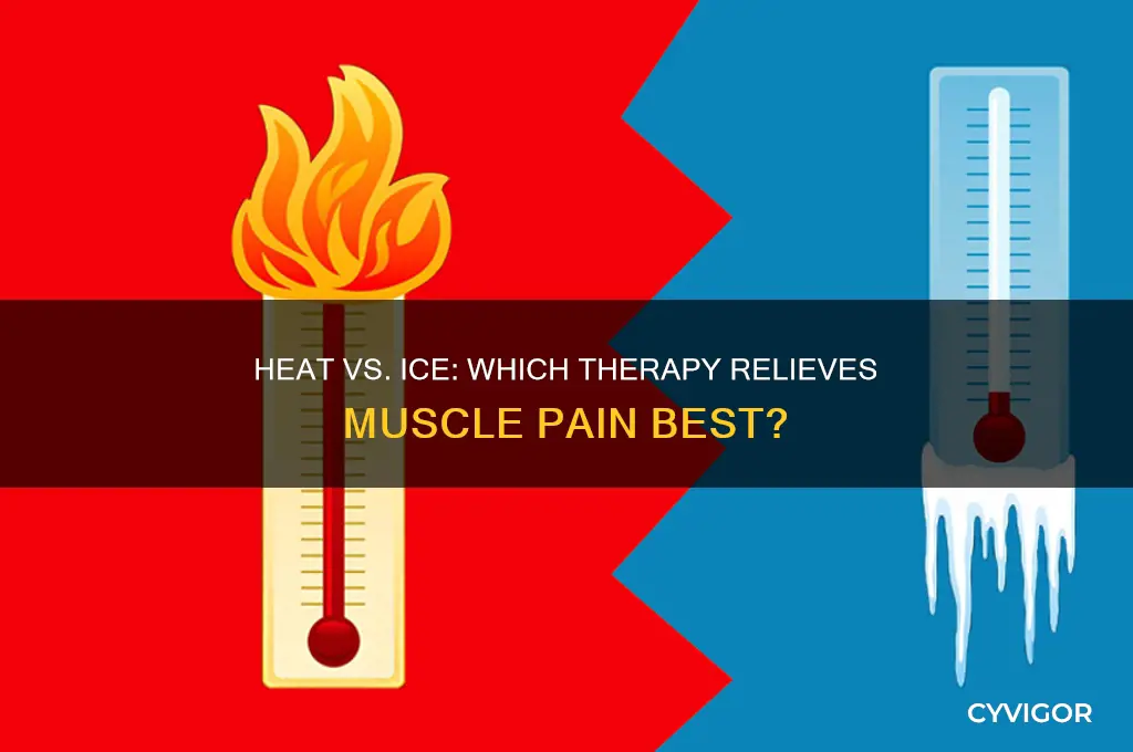 Heat Vs. Ice: Which Therapy Relieves Muscle Pain Best? | CyVigor