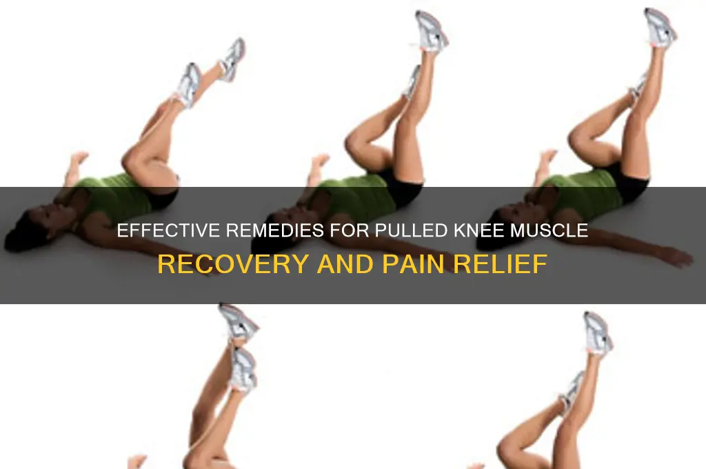 Effective Remedies For Pulled Knee Muscle Recovery And Pain Relief ...