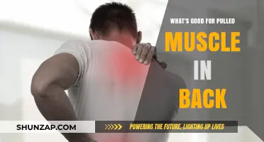 Pulled Back Muscle: Symptoms, Pain, And Recovery Explained | CyVigor