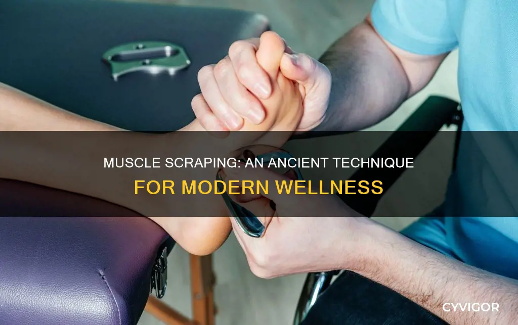 Muscle Scraping: An Ancient Technique For Modern Wellness | CyVigor