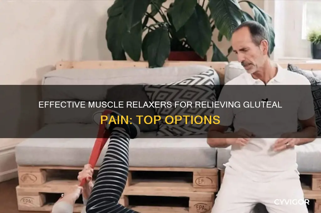 Effective Muscle Relaxers For Relieving Gluteal Pain: Top Options | CyVigor