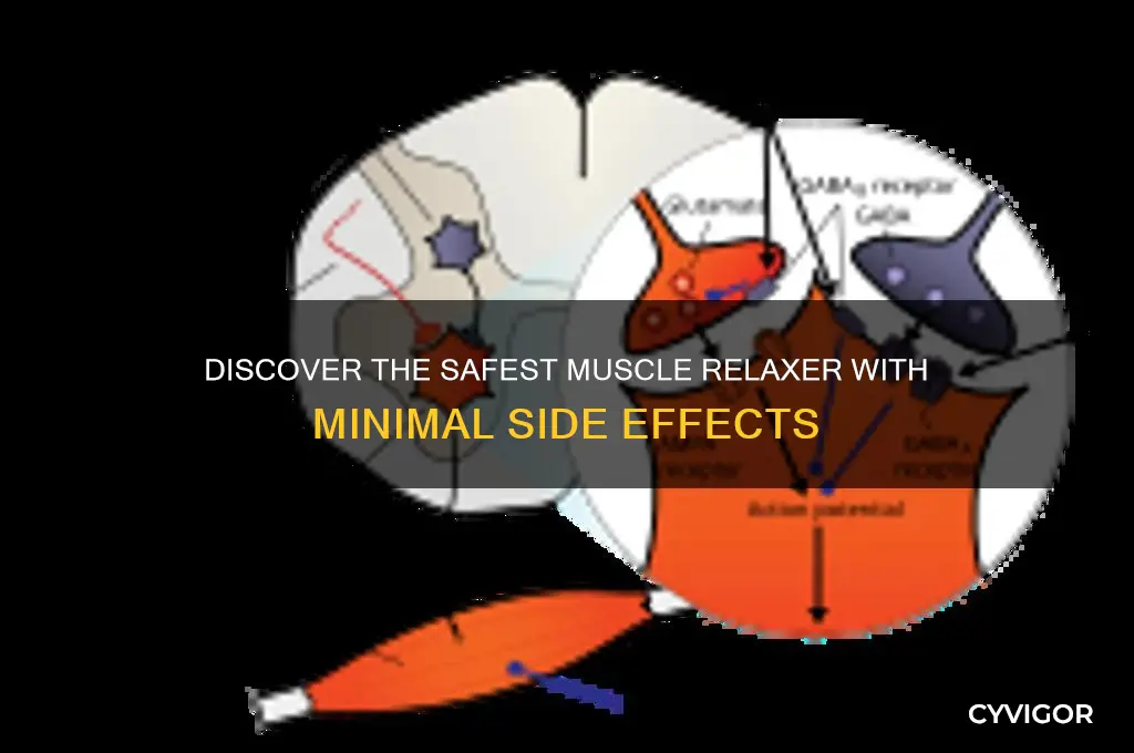 Discover The Safest Muscle Relaxer With Minimal Side Effects | CyVigor