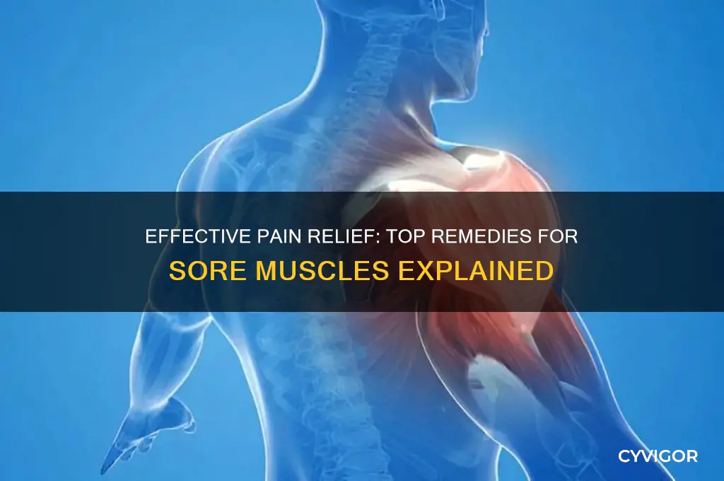 Effective Pain Relief: Top Remedies For Sore Muscles Explained | CyVigor