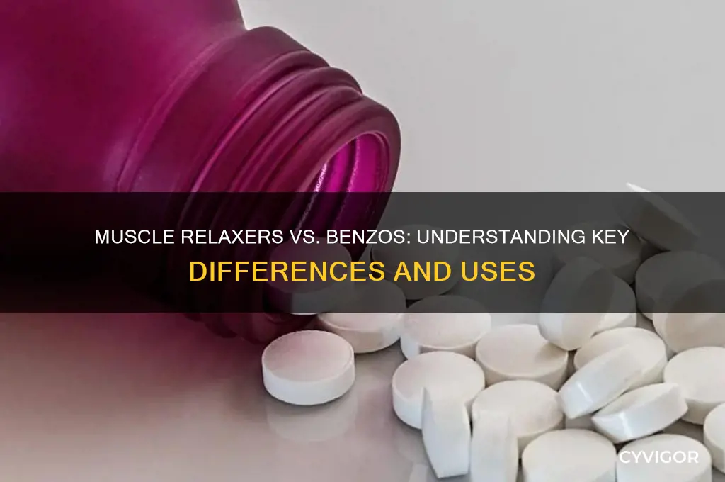 Muscle Relaxers Vs. Benzos: Understanding Key Differences And Uses ...