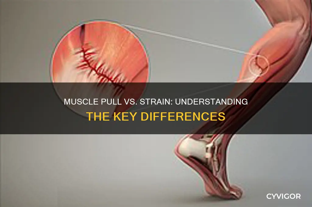 Muscle Pull Vs. Strain: Understanding The Key Differences | CyVigor