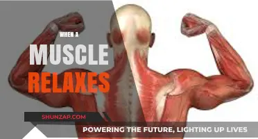 Muscle Relaxers And Blood Thinners: Understanding Their Interaction And ...
