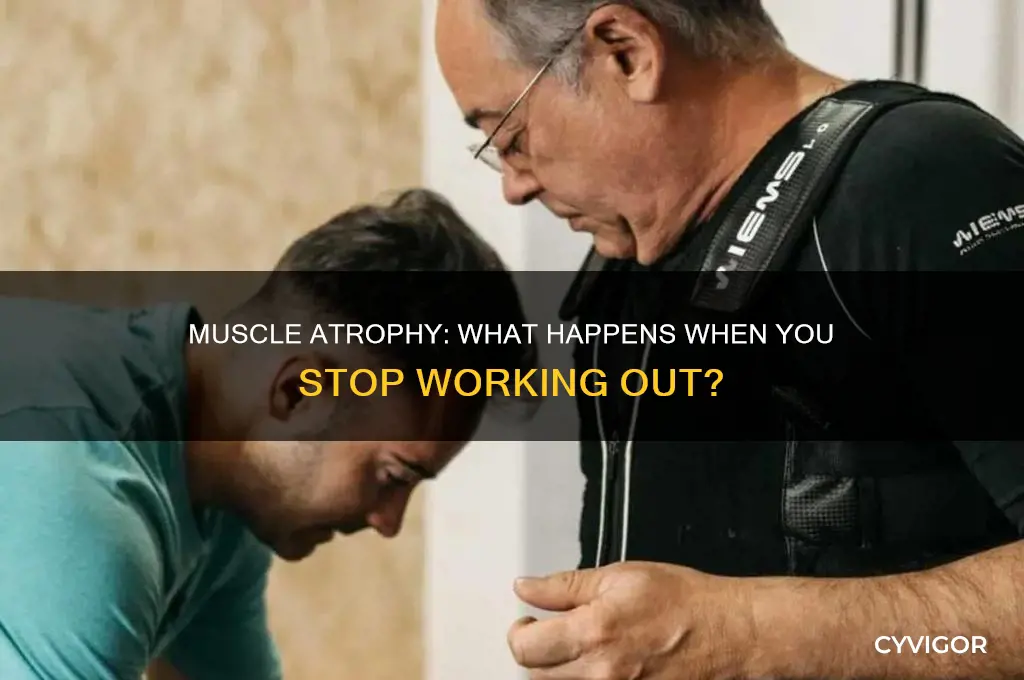 Muscle Atrophy: What Happens When You Stop Working Out? | CyVigor