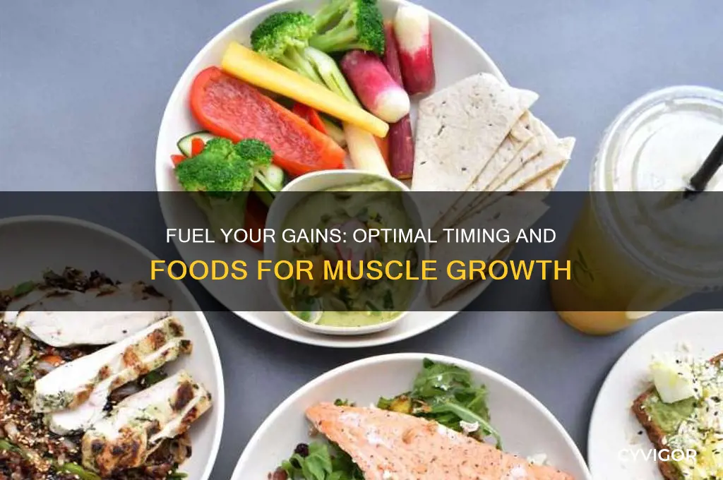 Fuel Your Gains: Optimal Timing And Foods For Muscle Growth | CyVigor