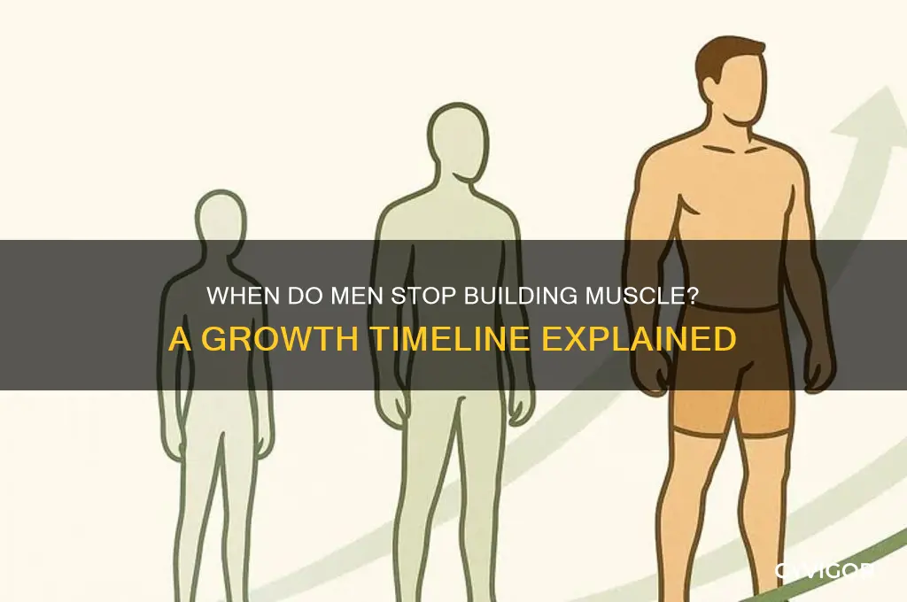 When Do Men Stop Building Muscle? A Growth Timeline Explained | CyVigor