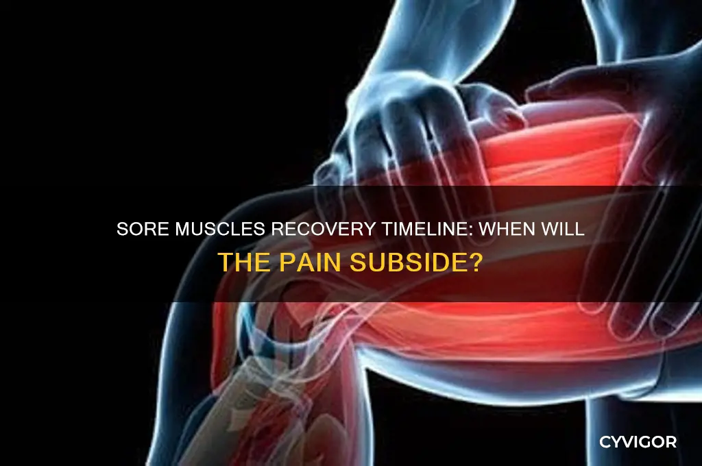 Sore Muscles Recovery Timeline: When Will The Pain Subside? | CyVigor