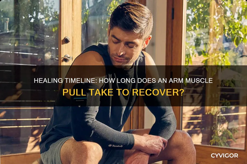 Healing Timeline: How Long Does An Arm Muscle Pull Take To Recover ...