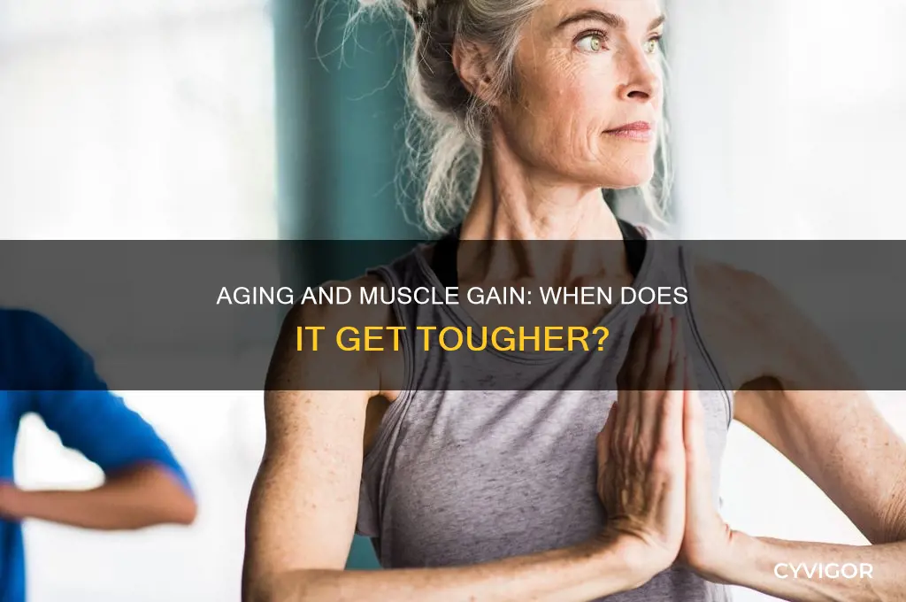 Aging And Muscle Gain: When Does It Get Tougher? | CyVigor