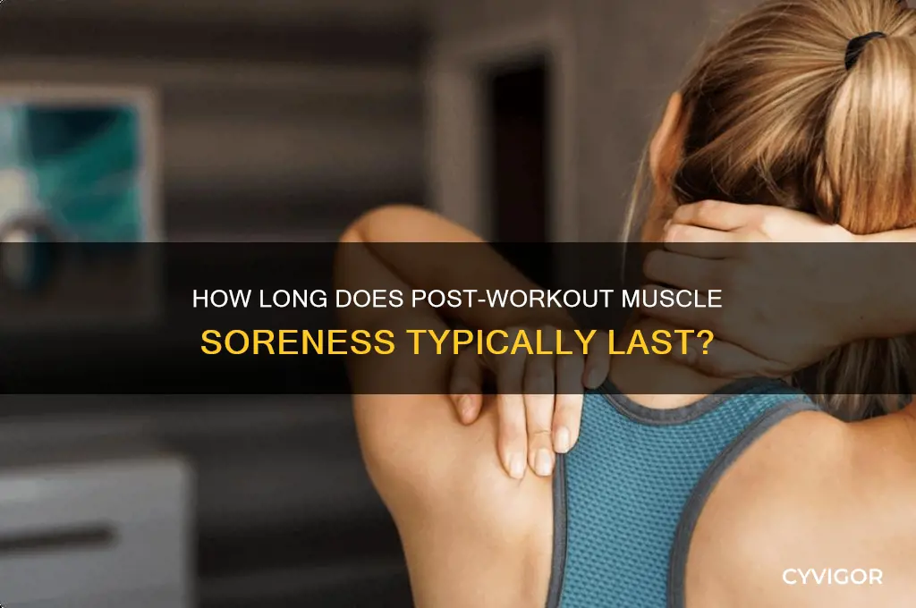 How Long Does Post-Workout Muscle Soreness Typically Last? | CyVigor
