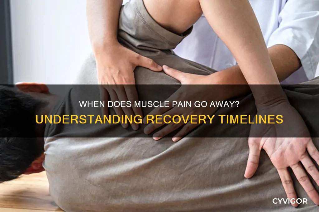 When Does Muscle Pain Go Away? Understanding Recovery Timelines | CyVigor