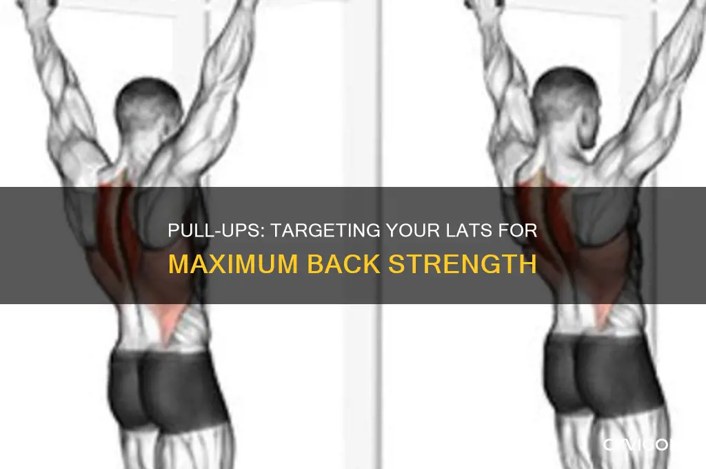 Pull-Ups: Targeting Your Lats For Maximum Back Strength | CyVigor