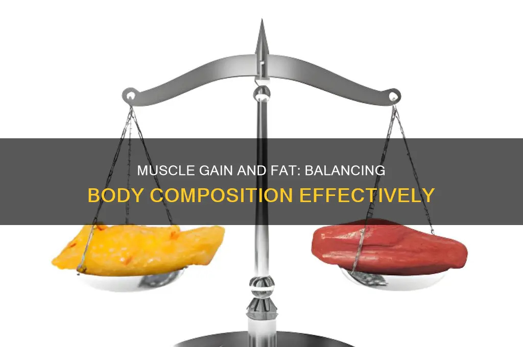 Muscle Gain And Fat: Balancing Body Composition Effectively | CyVigor