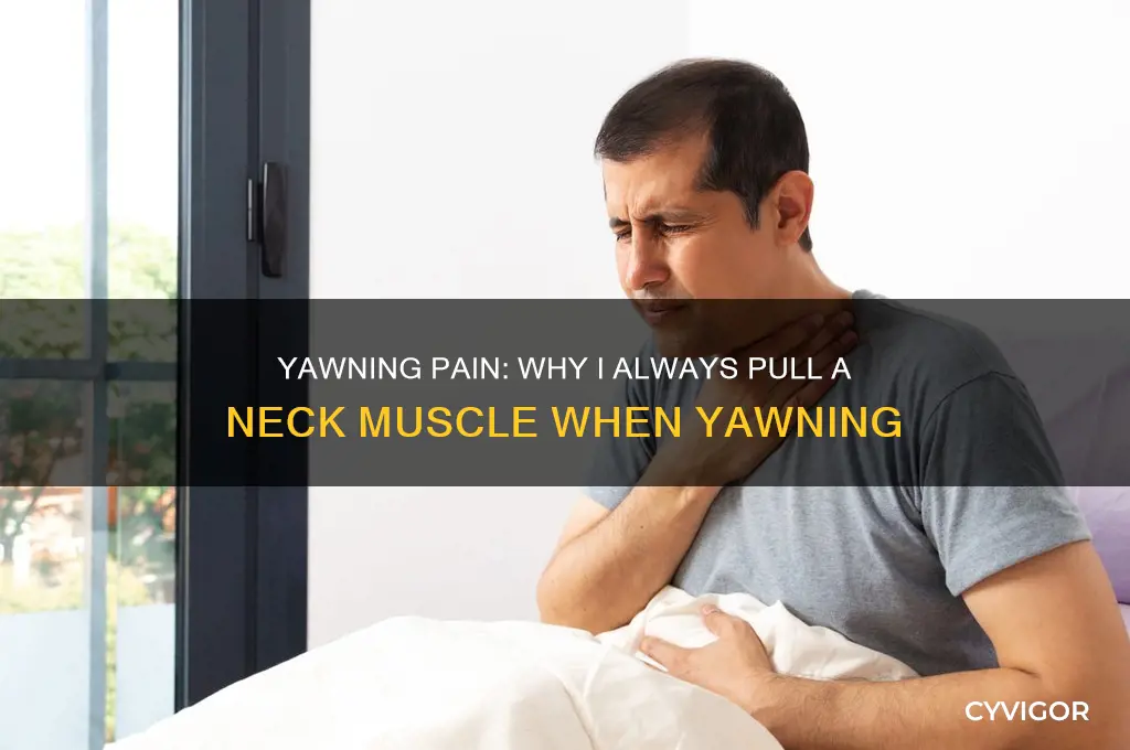 Yawning Pain: Why I Always Pull A Neck Muscle When Yawning | CyVigor