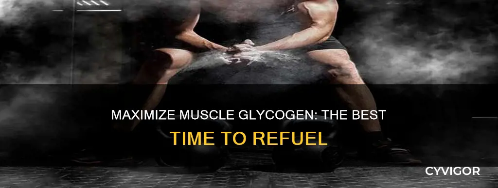Maximize Muscle Glycogen: The Best Time To Refuel | CyVigor