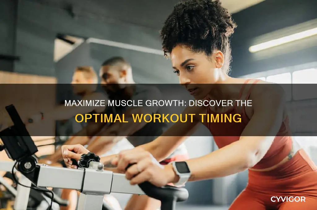 Maximize Muscle Growth: Discover The Optimal Workout Timing | CyVigor