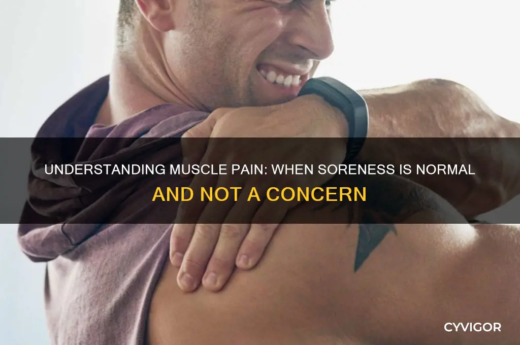 Understanding Muscle Pain: When Soreness Is Normal And Not A Concern ...