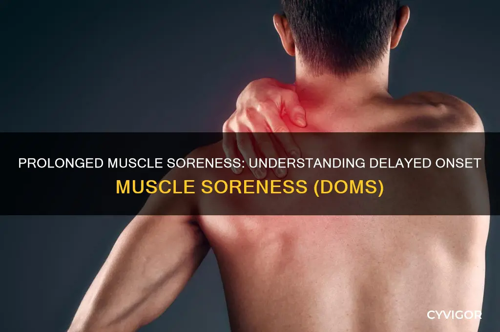 Prolonged Muscle Soreness: Understanding Delayed Onset Muscle Soreness ...