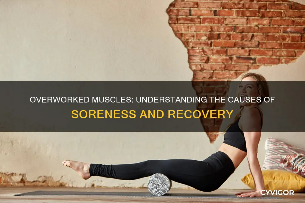 Overworked Muscles: Understanding The Causes Of Soreness And Recovery ...