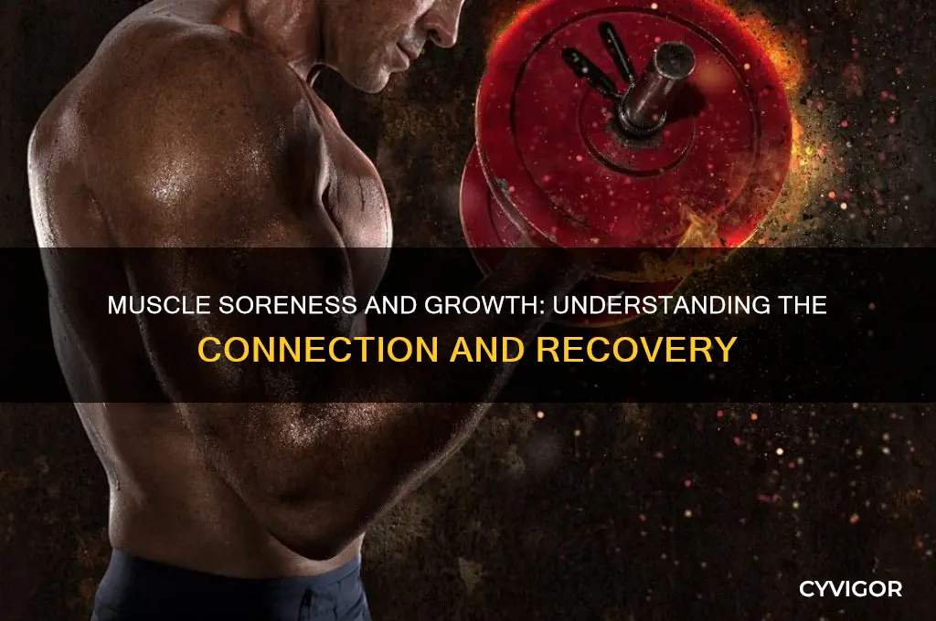 Muscle Soreness And Growth: Understanding The Connection And Recovery ...